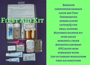 How to Prepare for (Almost) Anything on Your Road Trip | Little Tudor ...